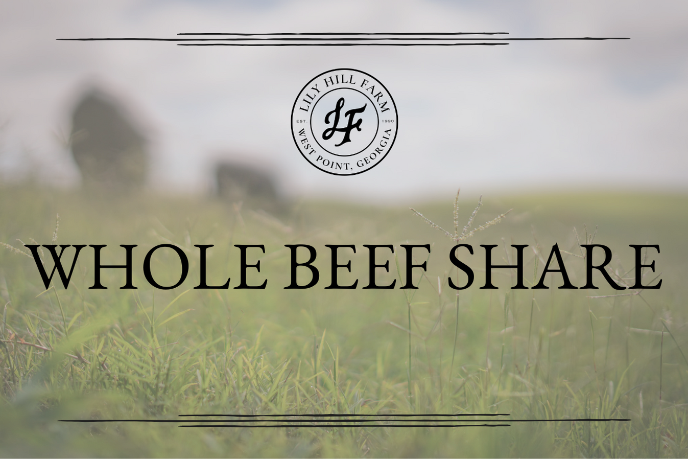 Premium Beef Shares — Lily Hill Farm