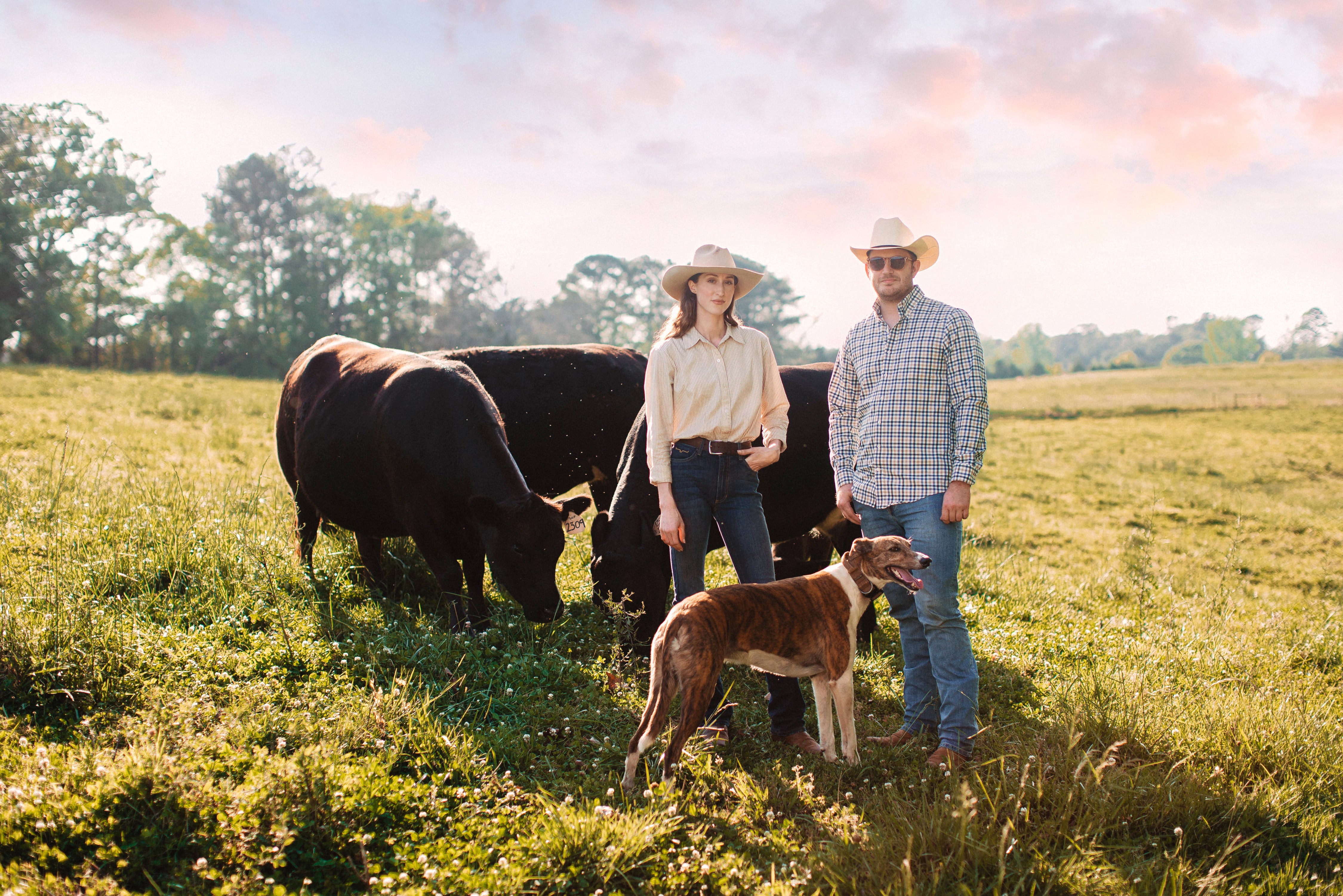Lily Hill Farm | Pasture-Raised Beef | Farm-to-Table | Premium Beef